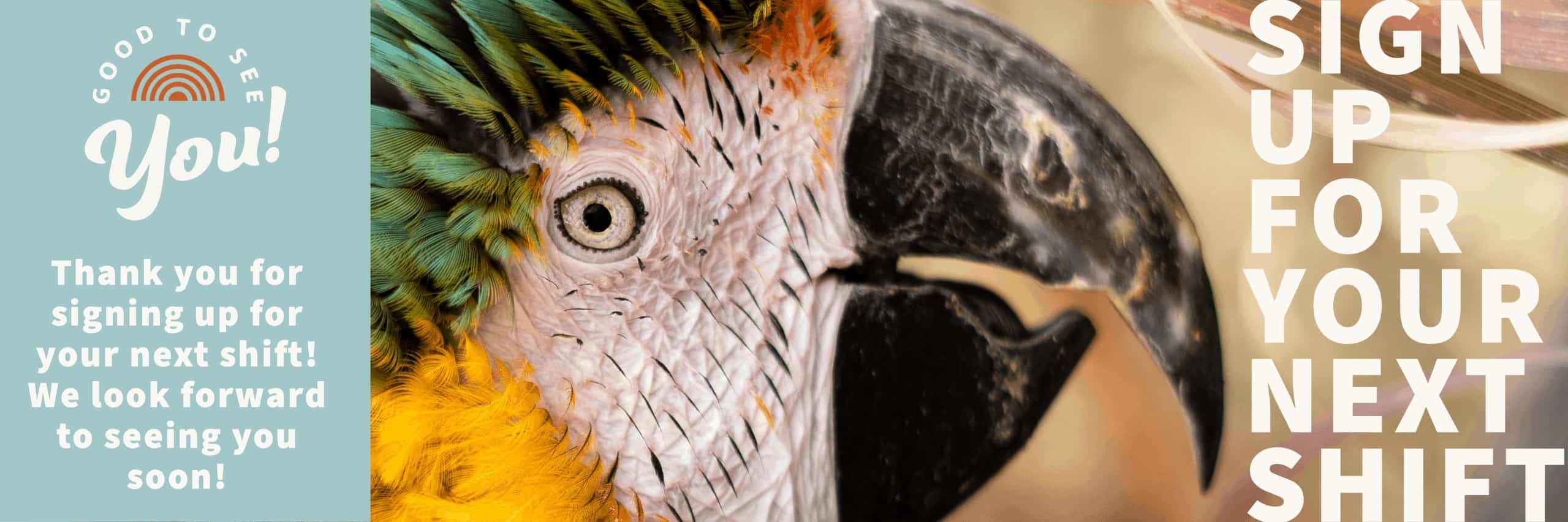 Volunteer Shift Sign-up – The Gabriel Foundation