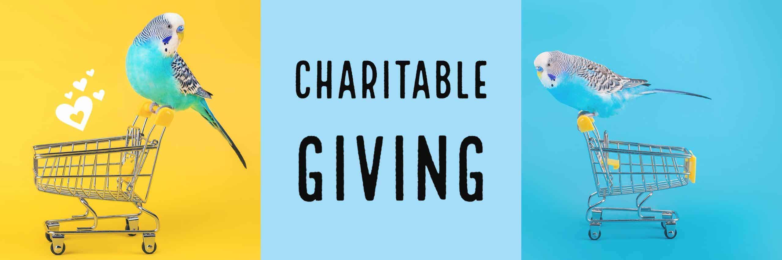 Charitable Giving – The Gabriel Foundation