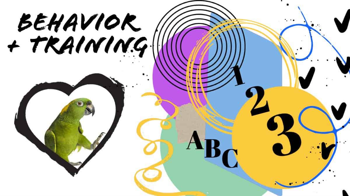 Behavior Consultations – The Gabriel Foundation